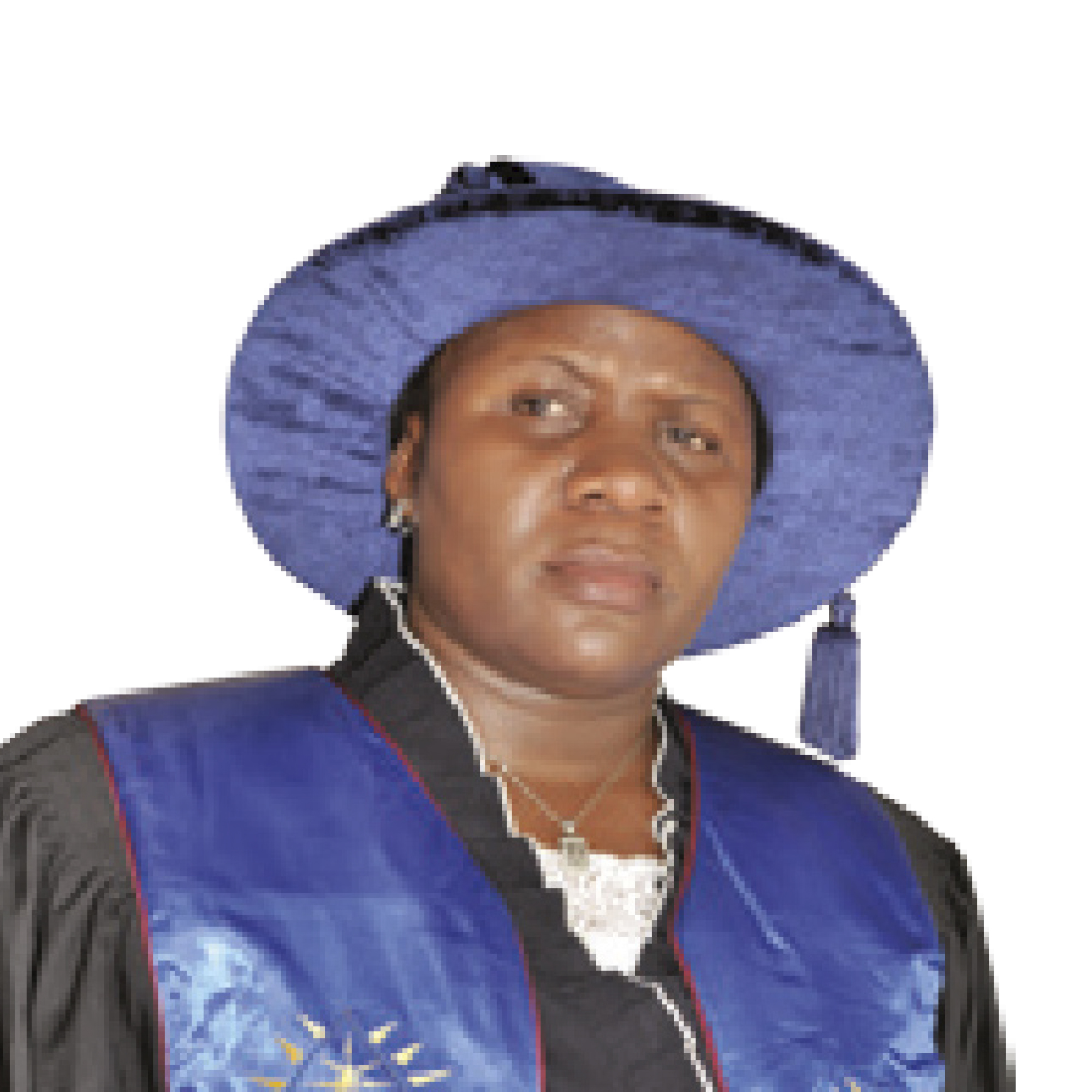 Governance and Administration - St. Lawrence University (SLAU)